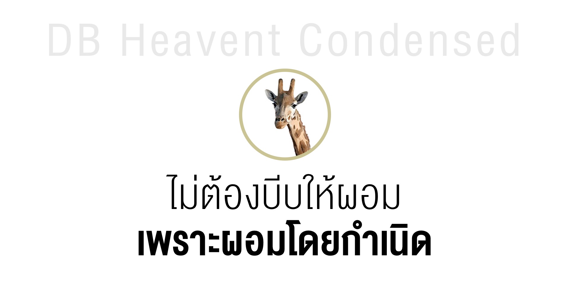 DB Heavent Condensed | DB Font